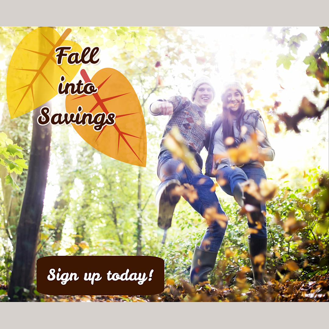 Fall into savings now | Templates | Stencil