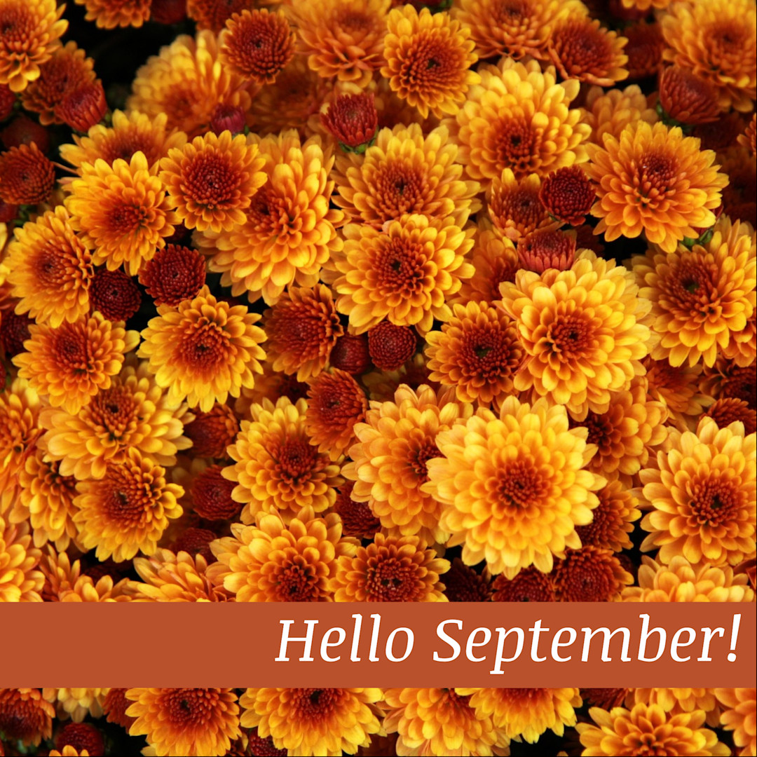 Hello there September | Templates | Stencil