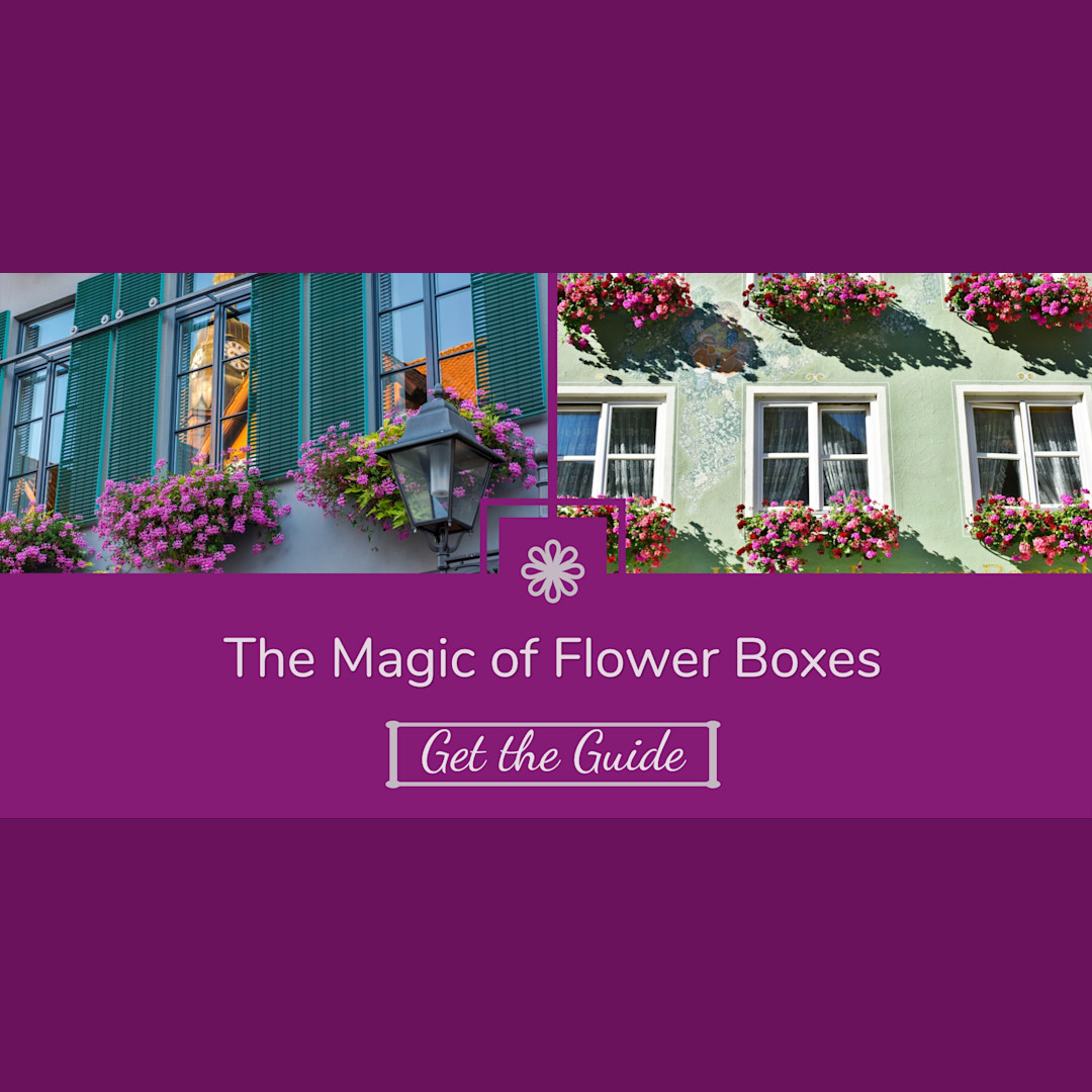 The magic of flower boxes | Templates | Stencil