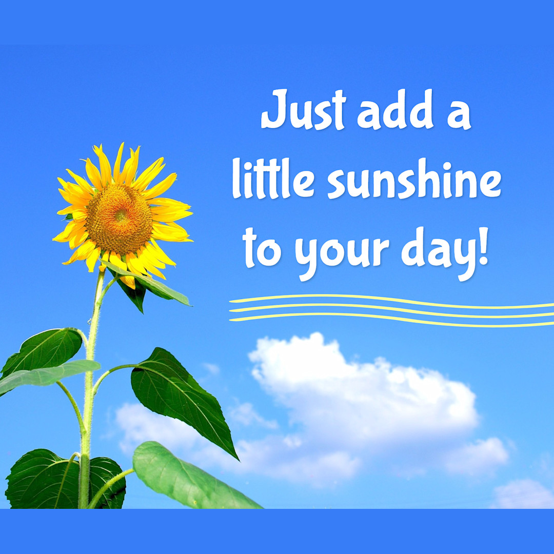 Sunshine to your day | Templates | Stencil