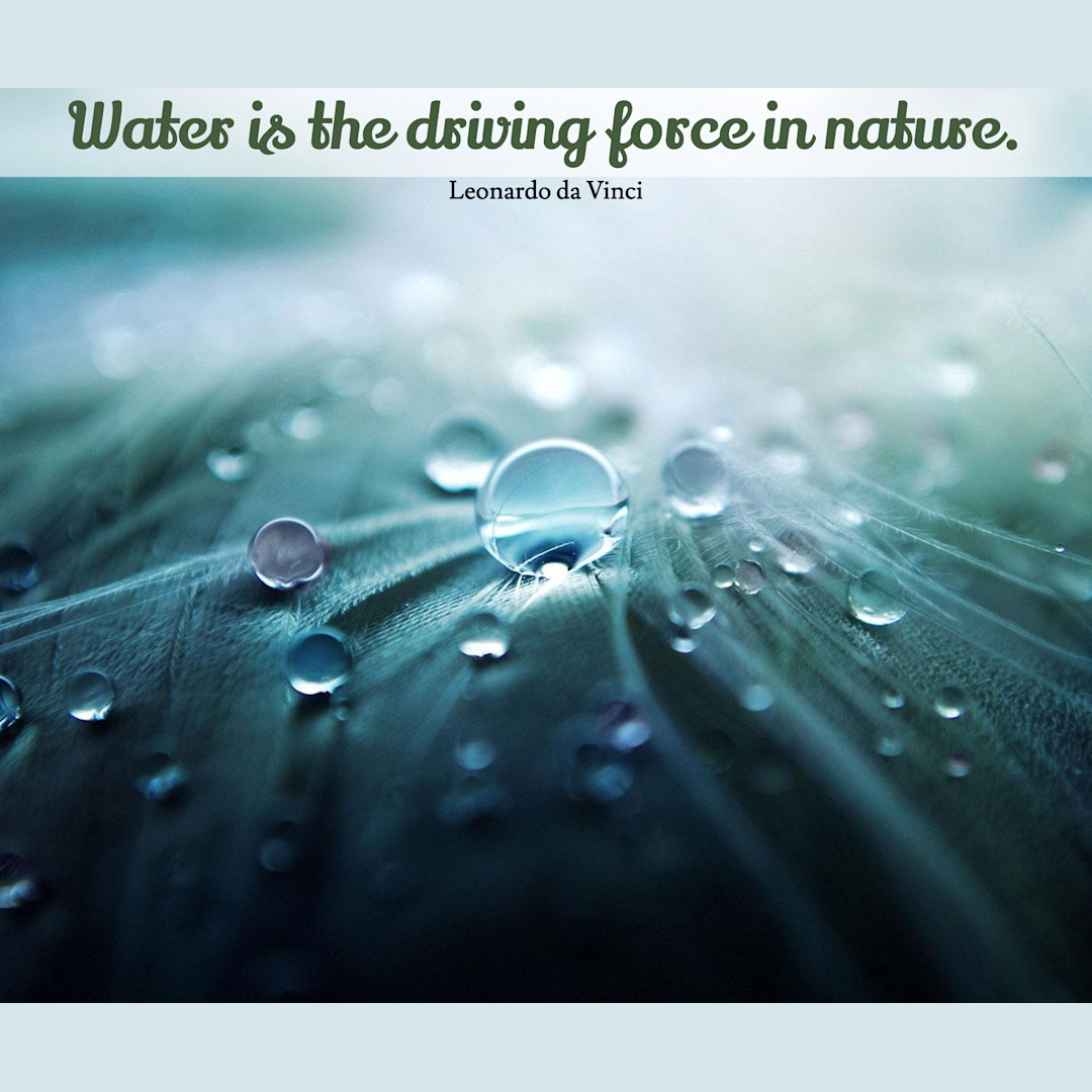 Water is the driving force in nature | Templates | Stencil