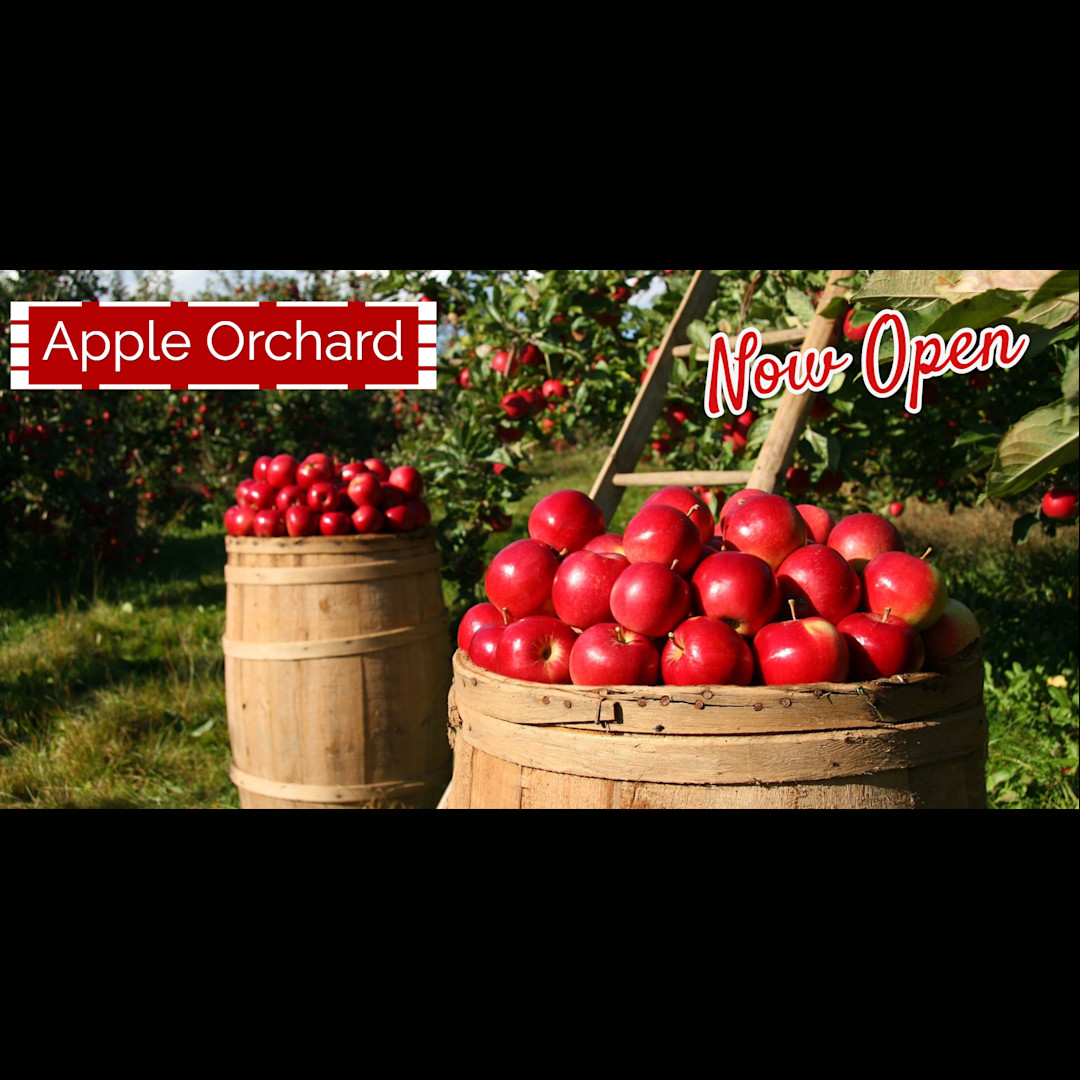 Apple Orchard - Now Open | Templates | Stencil