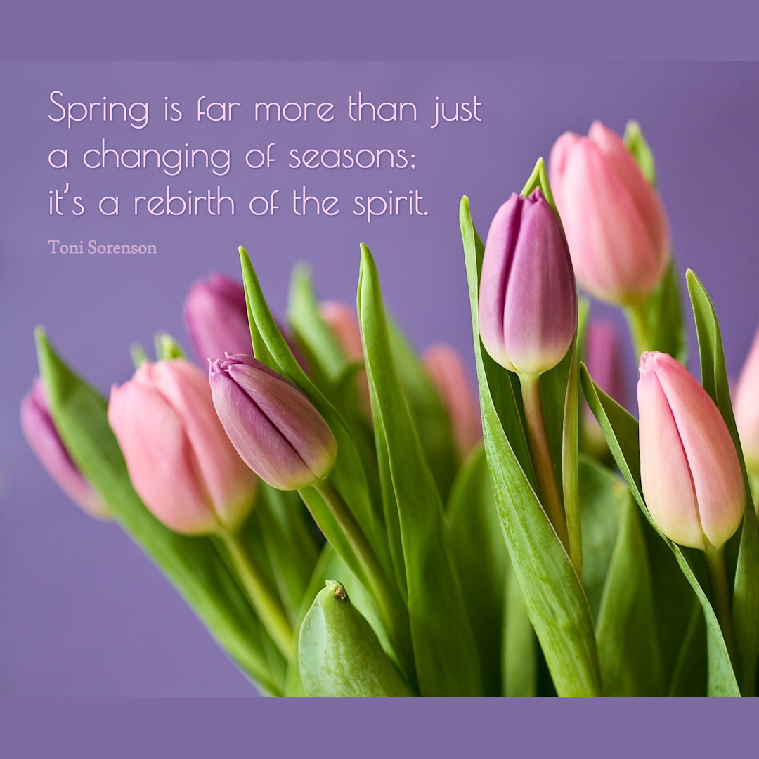 Spring is a rebirth of the spirit | Templates | Stencil