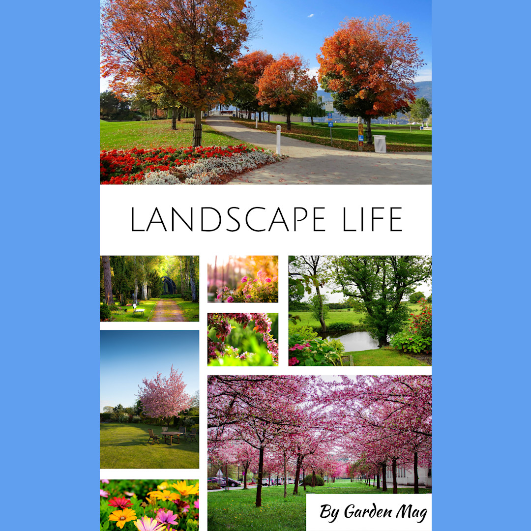 Landscape Life | Templates | Stencil